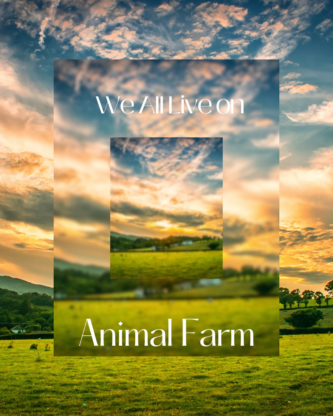 We All Live on Animal Farm – Leonie Thomas